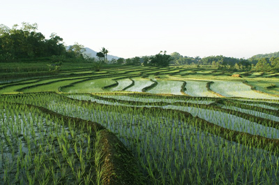 Living Abroad: Awash in Culture – LIFE IN THE EXPAT LANE